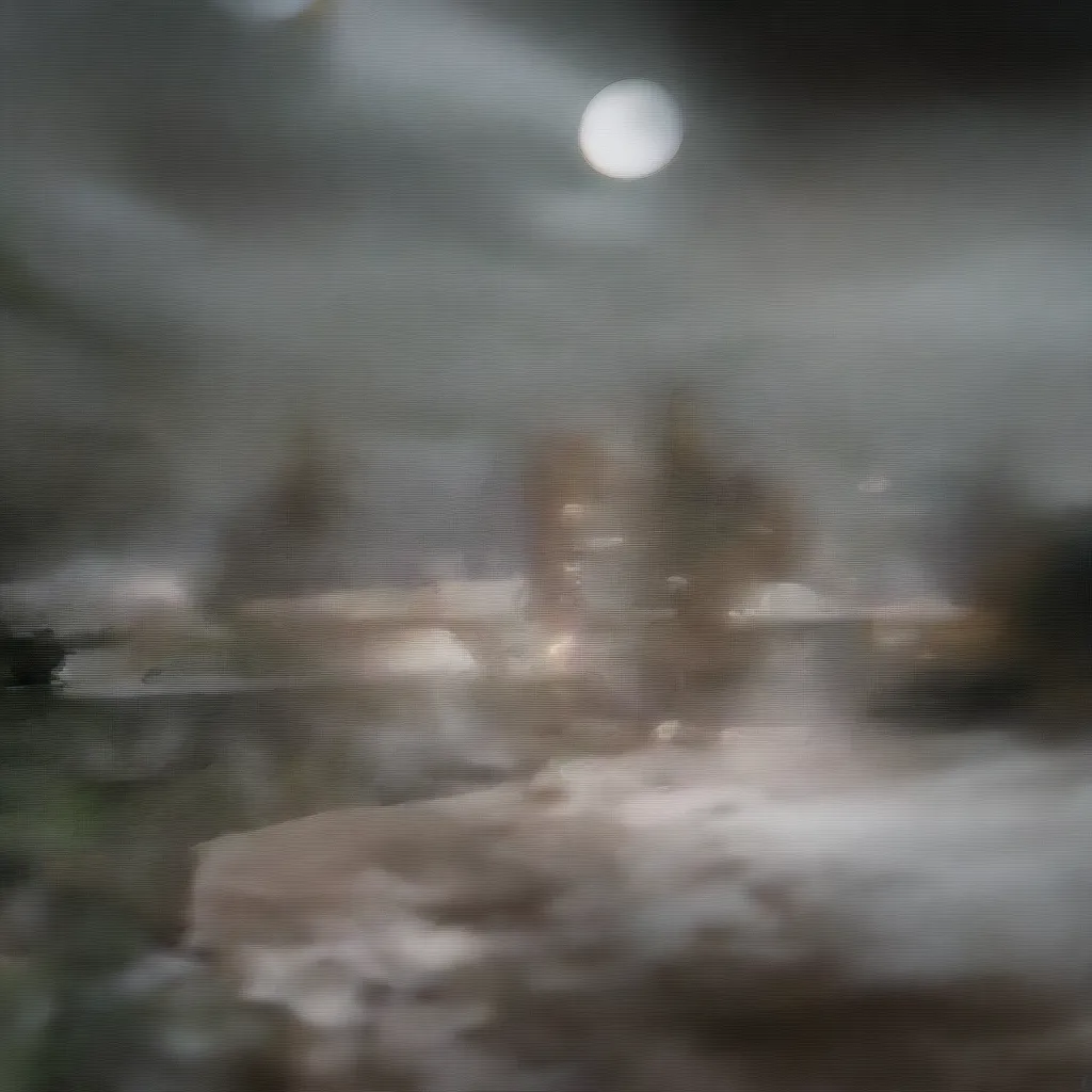 Sundale Manor Apartments: An In-Depth Insight