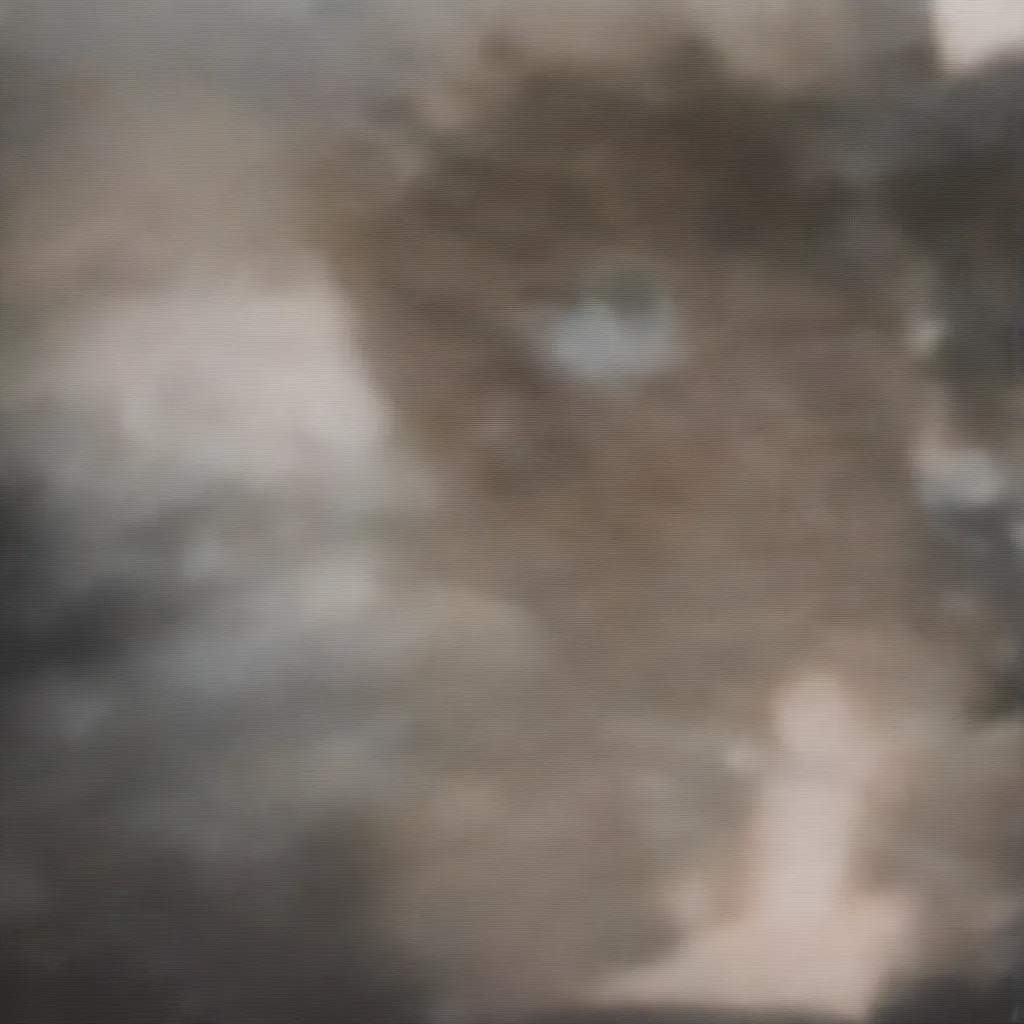 Understanding Hard Inquiries on Credit Reports